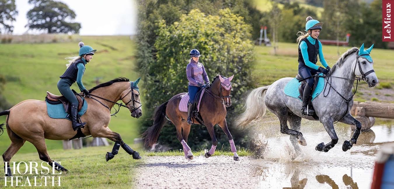 Retford Saddlery Ltd – Nottinghamshires Premier Equestrian Store